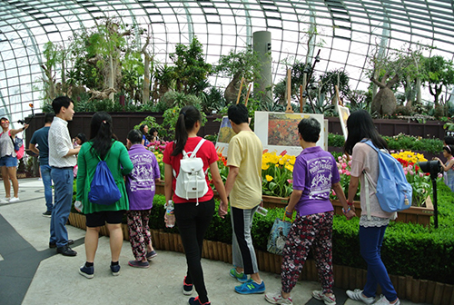 Be a Volunteer - IMH | Institute of Mental Health